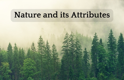 Indian astrology, Free horoscopes, Online Astrology with Astrologers ...